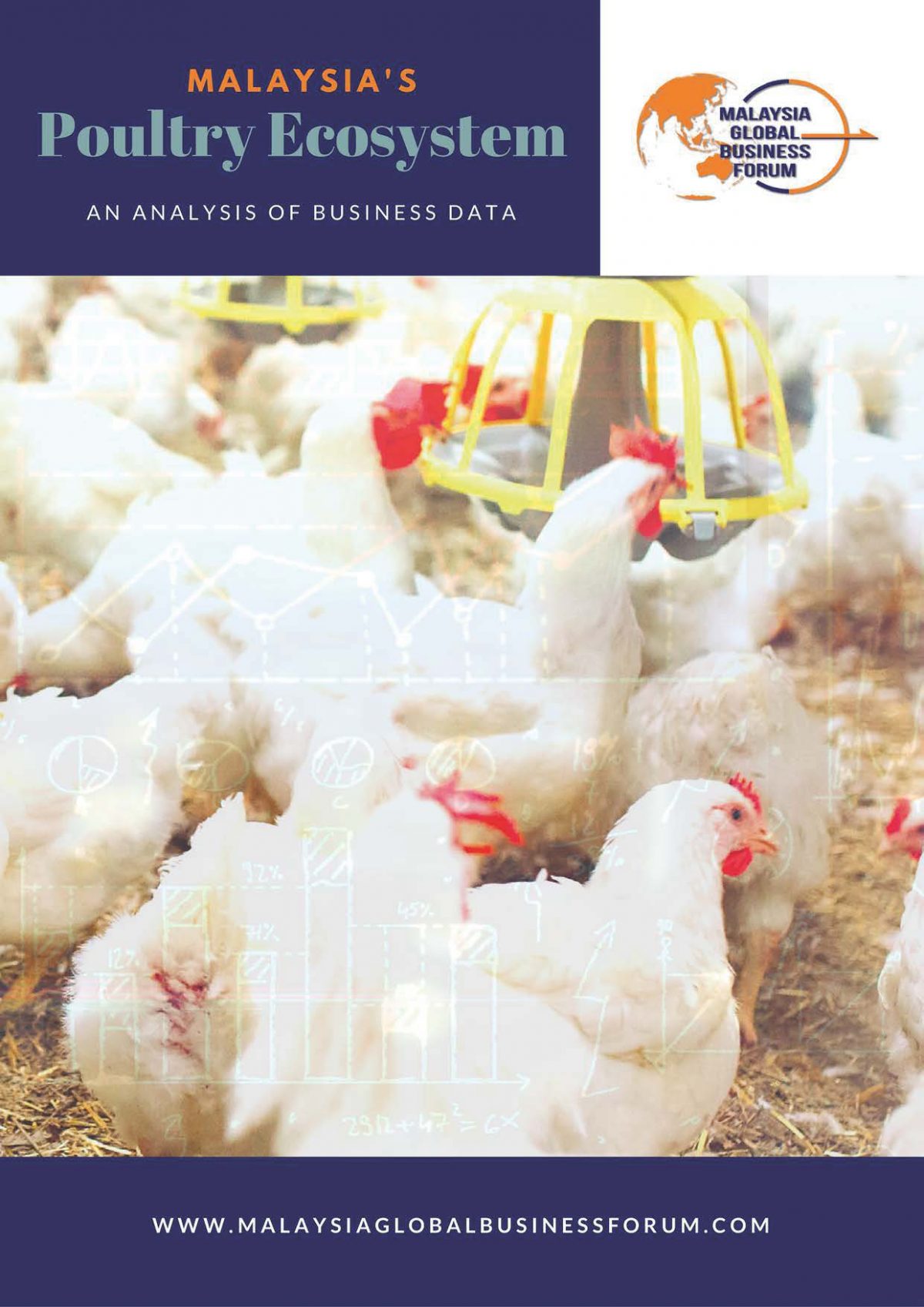 MGBF RELEASES A REPORT ON THE POULTRY ECOSYSTEM BASED ON BUSINESS DATA ...